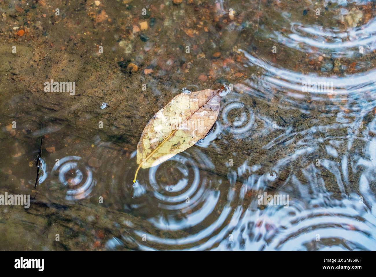 Puddles of rain hi-res stock photography and images - Alamy