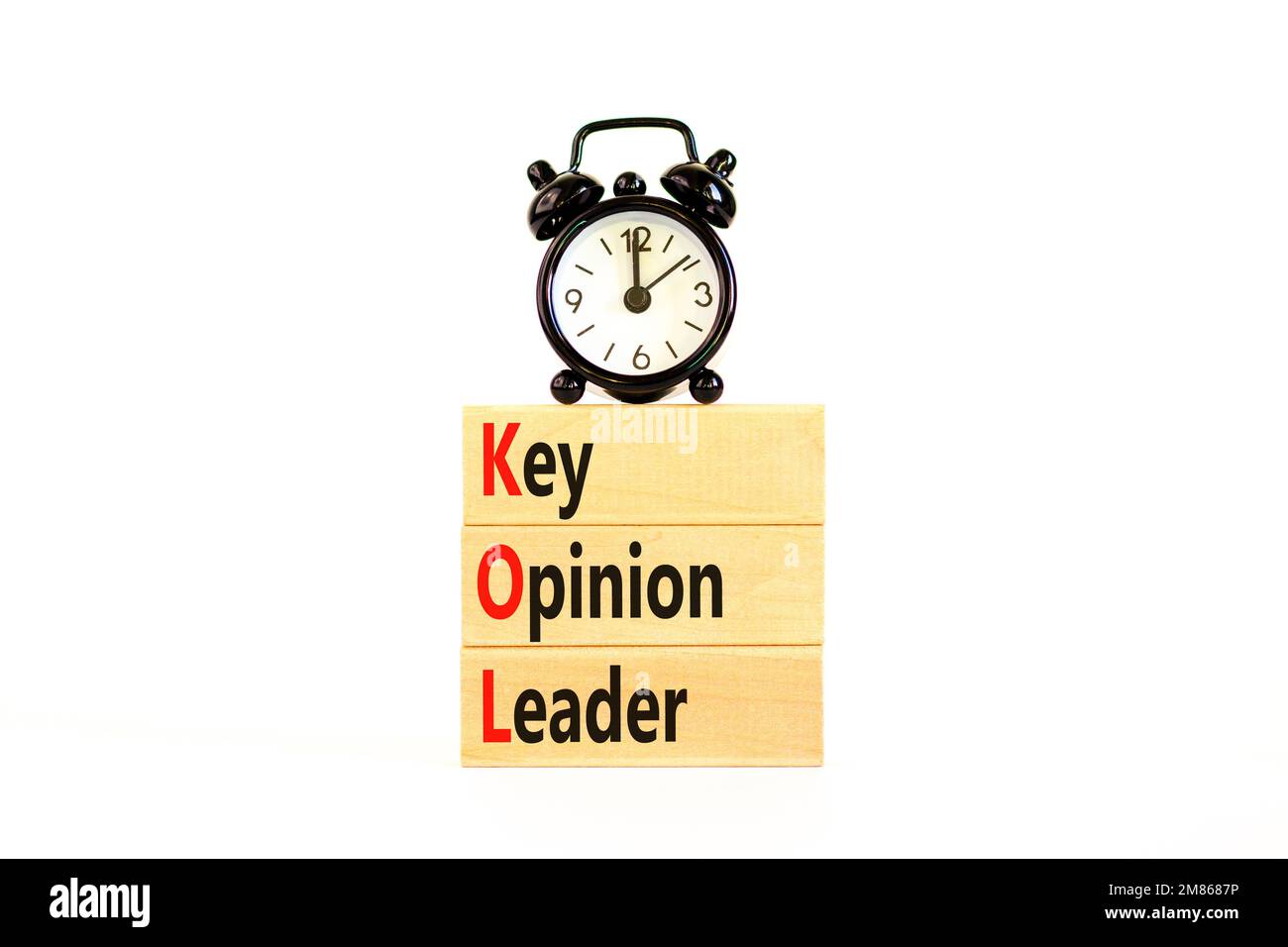 Developer leader Cut Out Stock Images & Pictures - Alamy