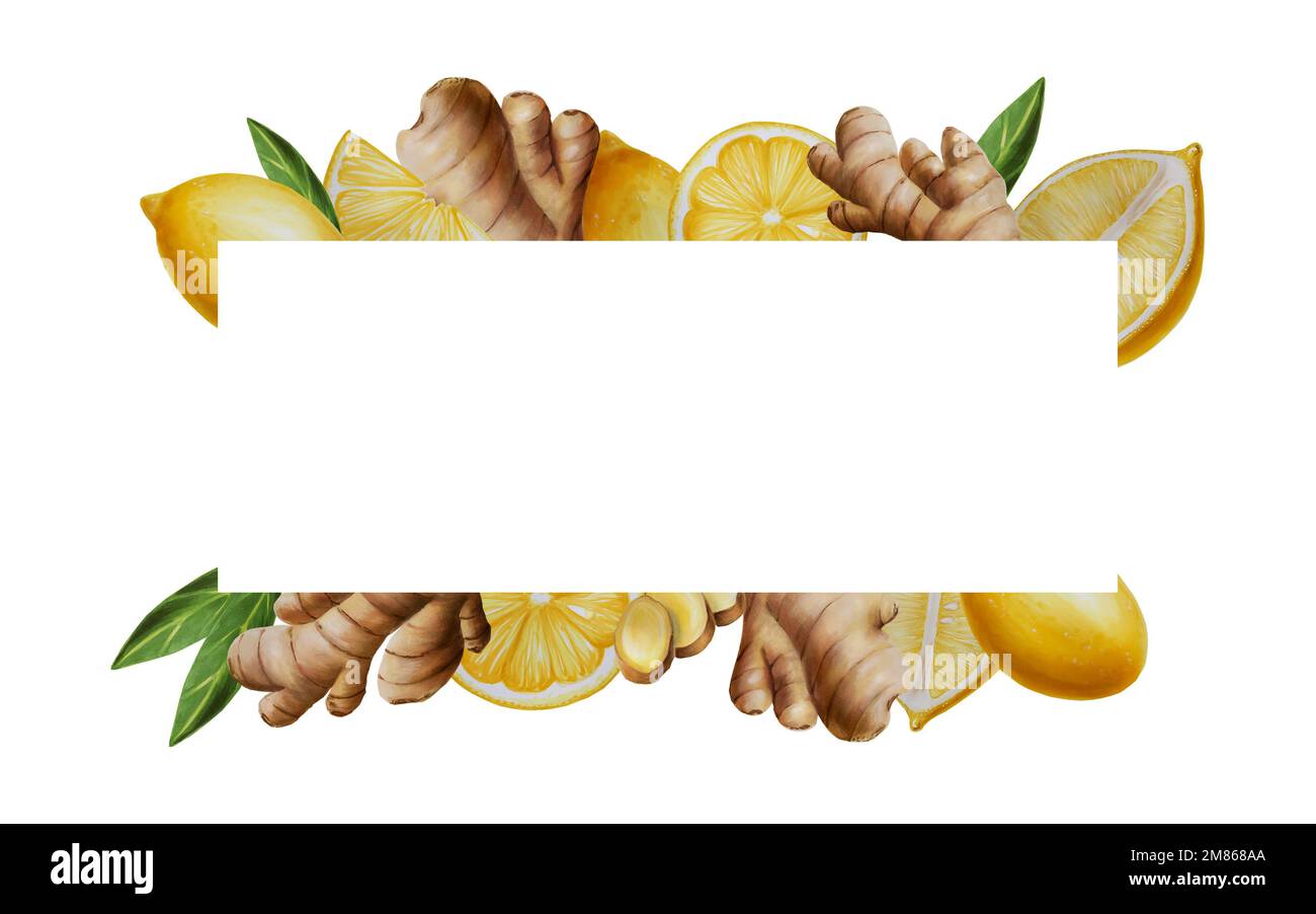 Watercolor frame with ginger and lemon. Includes ginger root and leafs ...