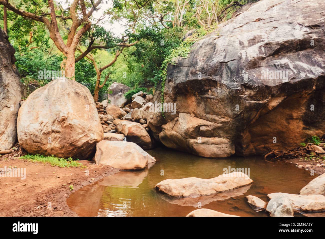 An oasis in the desert at Ndoto Mountains in Ngurunit, Marsabit County ...