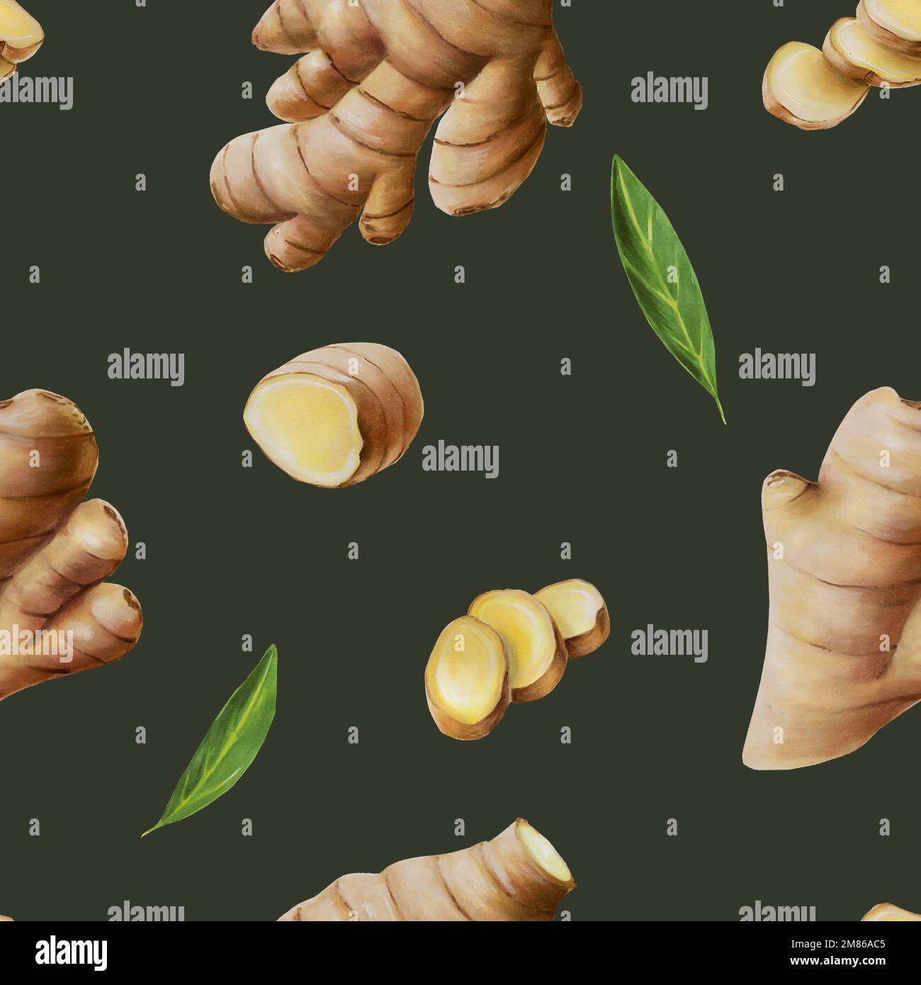 Watercolor seamless pattern with ginger. Includes ginger root and leafs ...