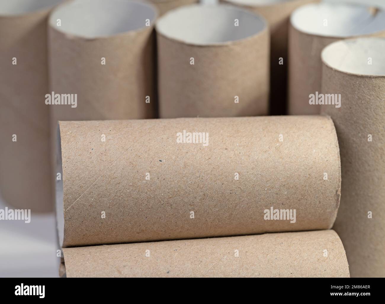 A lot of empty cardboard tubes from toilet paper Stock Photo - Alamy