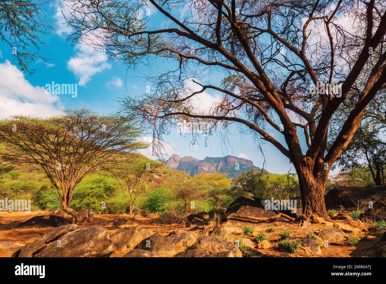 Scenic view of Ndoto Mountains in Ngurunit, Marsabit County, Kenya ...
