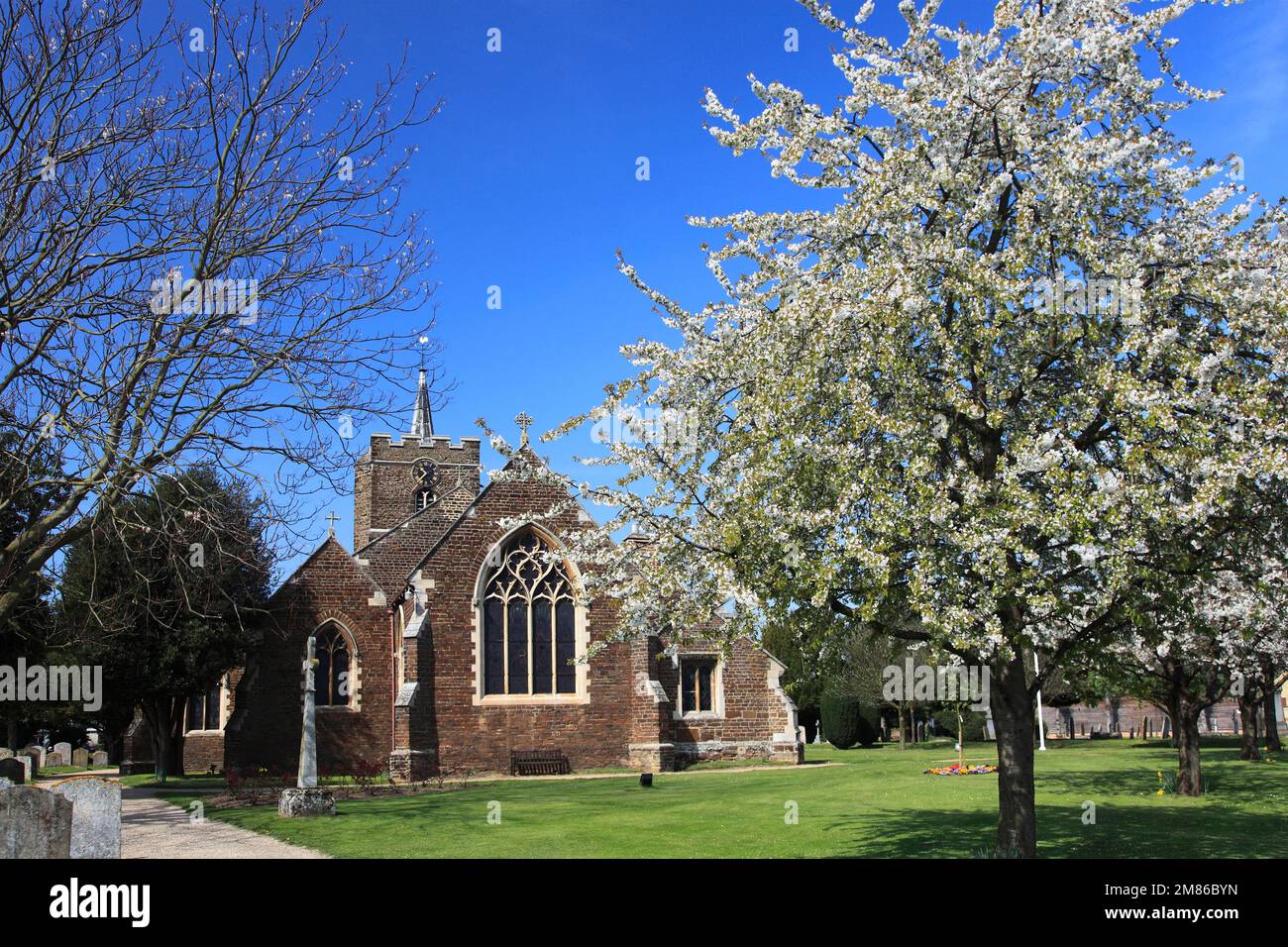 St Swithun parish church, Sandy town, Bedfordshire; England; UK Stock ...
