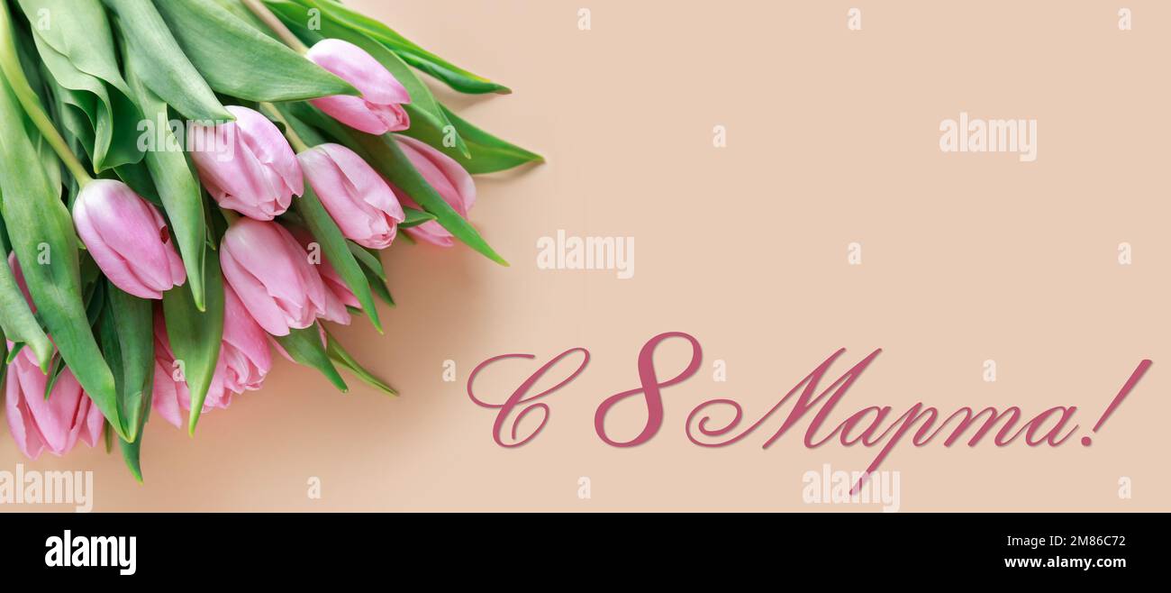 Beautiful greeting card for 8 March with bouquet of tulips on beige ...