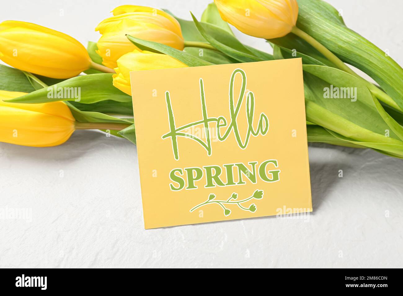 Card with text HELLO SPRING and beautiful tulip flowers on light ...