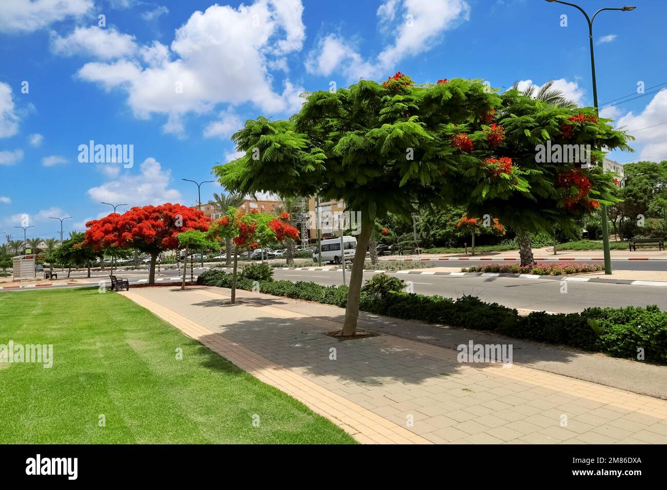 View of city street with trees, alley and road Stock Photo - Alamy