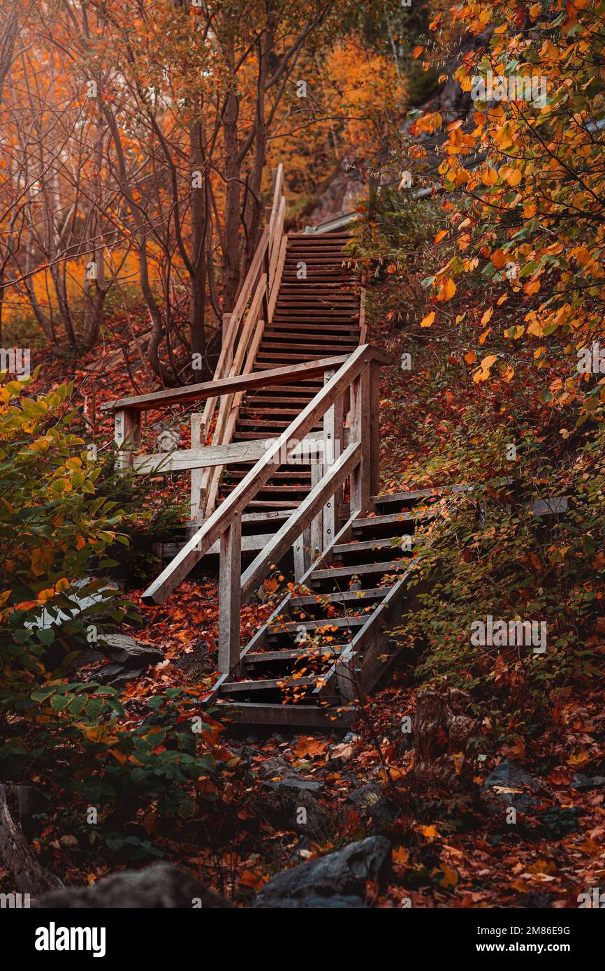 Beautiful shot wooden stairs hi-res stock photography and images - Alamy