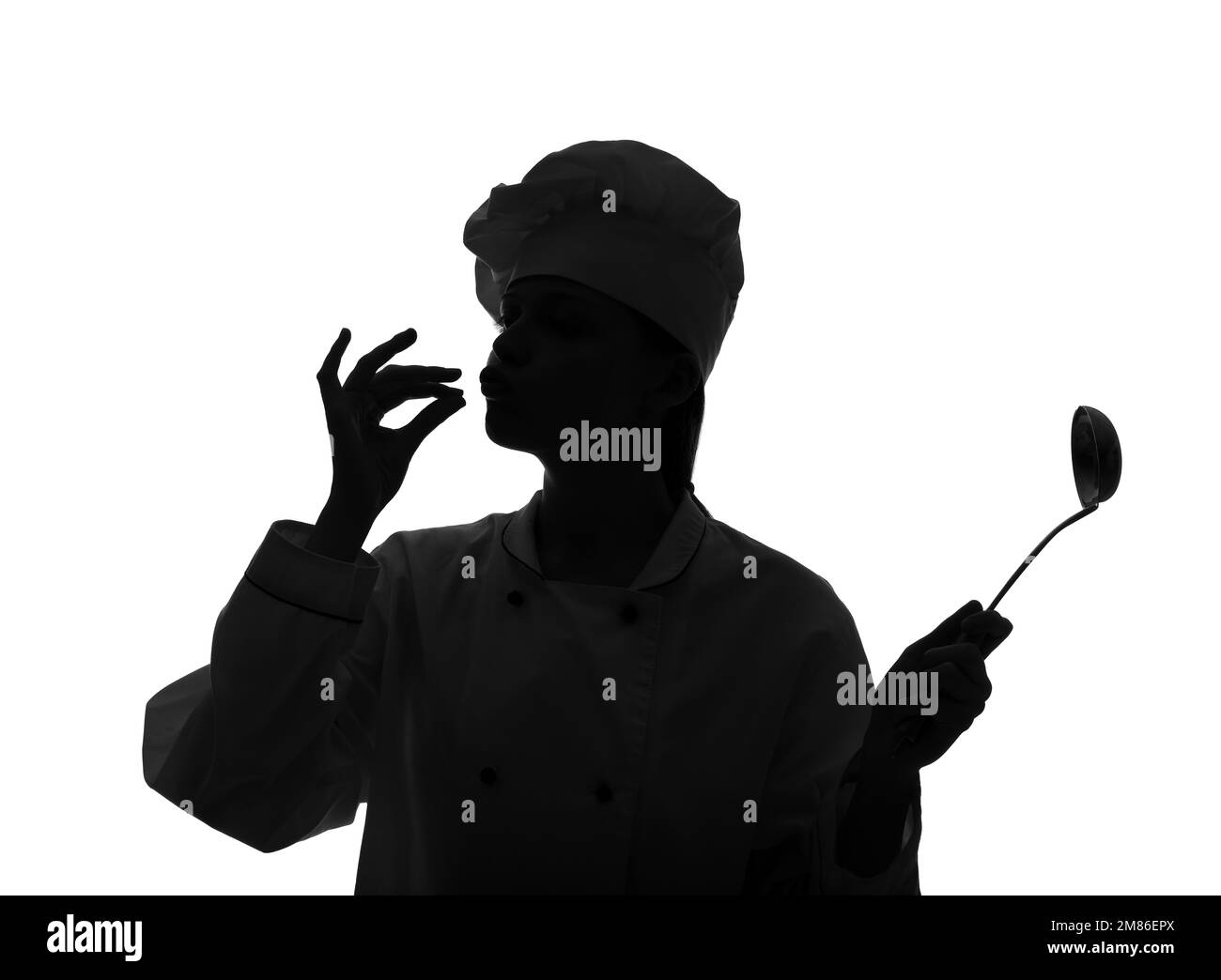 Silhouette of female chef with ladle on white background Stock Photo ...