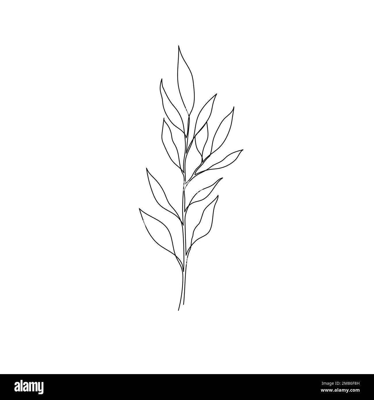 Outline plant eucalyptus leaf. One continuous line art decorative plant ...