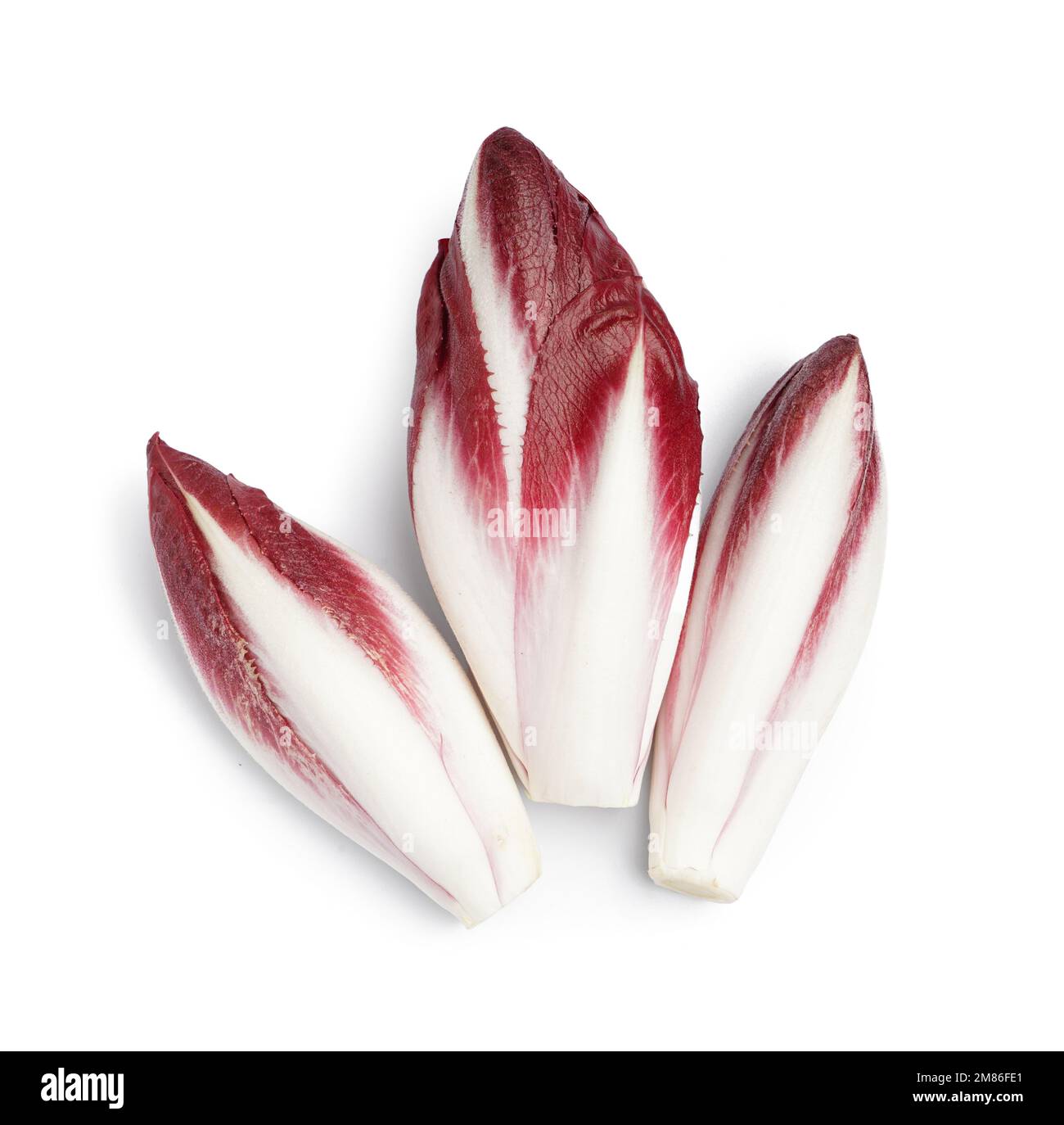 Bunches of fresh red endive on white background Stock Photo - Alamy