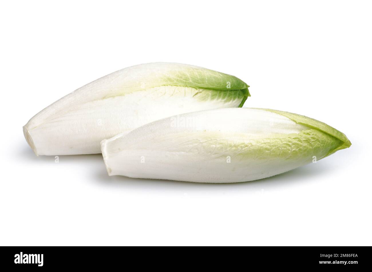 Raw chicory endive leaves Cut Out Stock Images & Pictures - Alamy