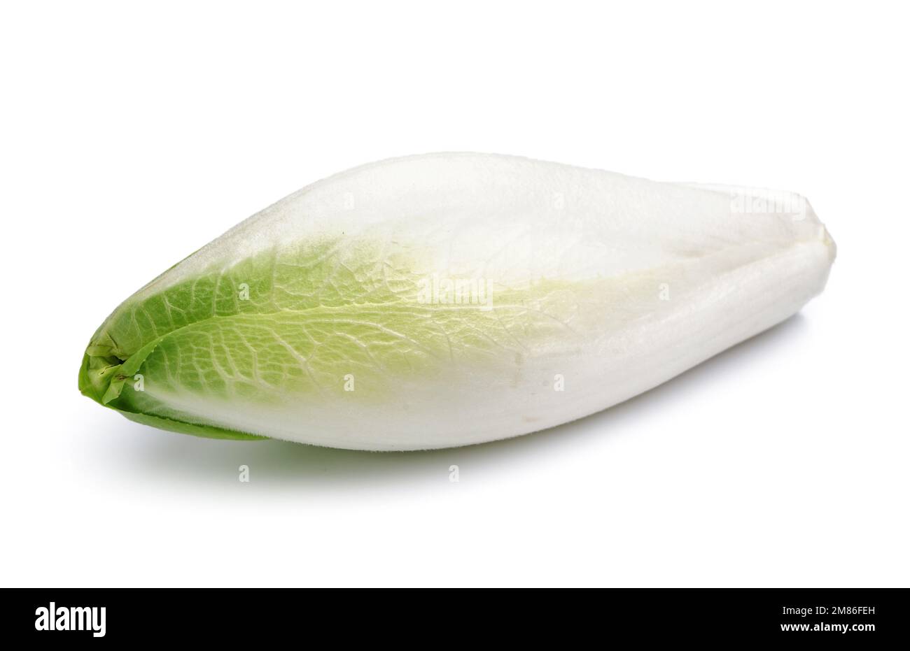 Bunch of fresh endive on white background Stock Photo - Alamy