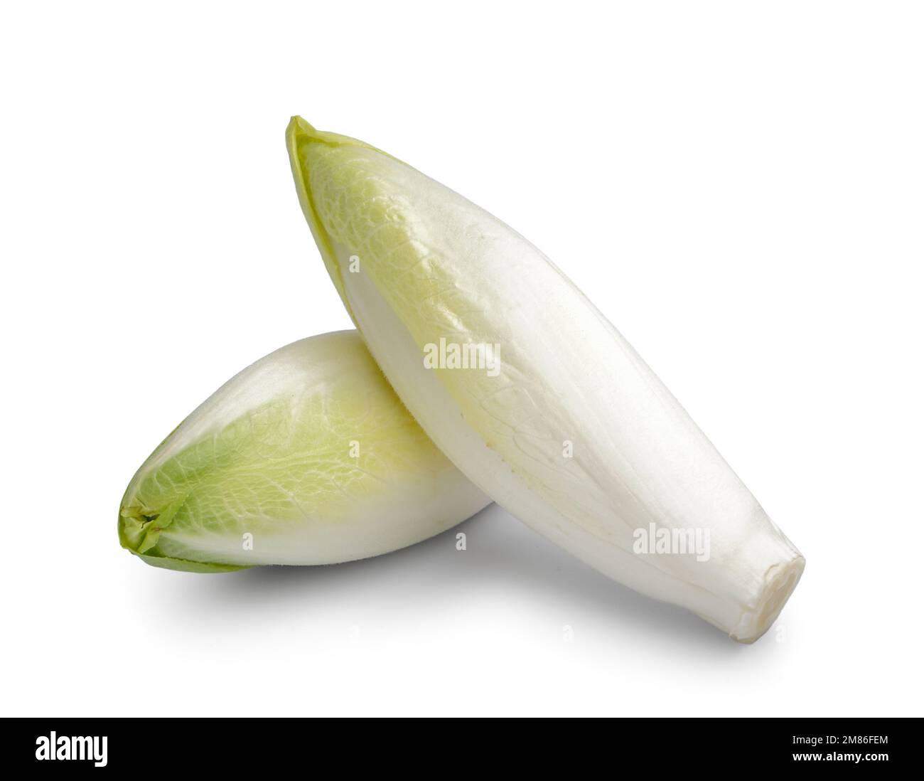 Bunches of fresh endive on white background Stock Photo - Alamy