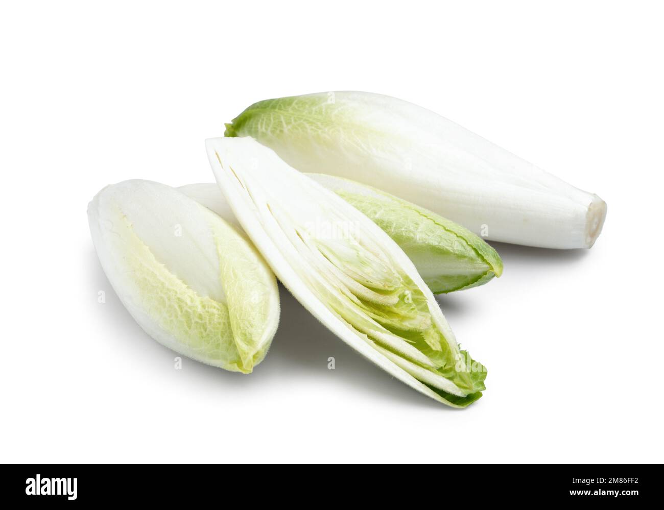 Bunches of fresh endive isolated on white background Stock Photo - Alamy