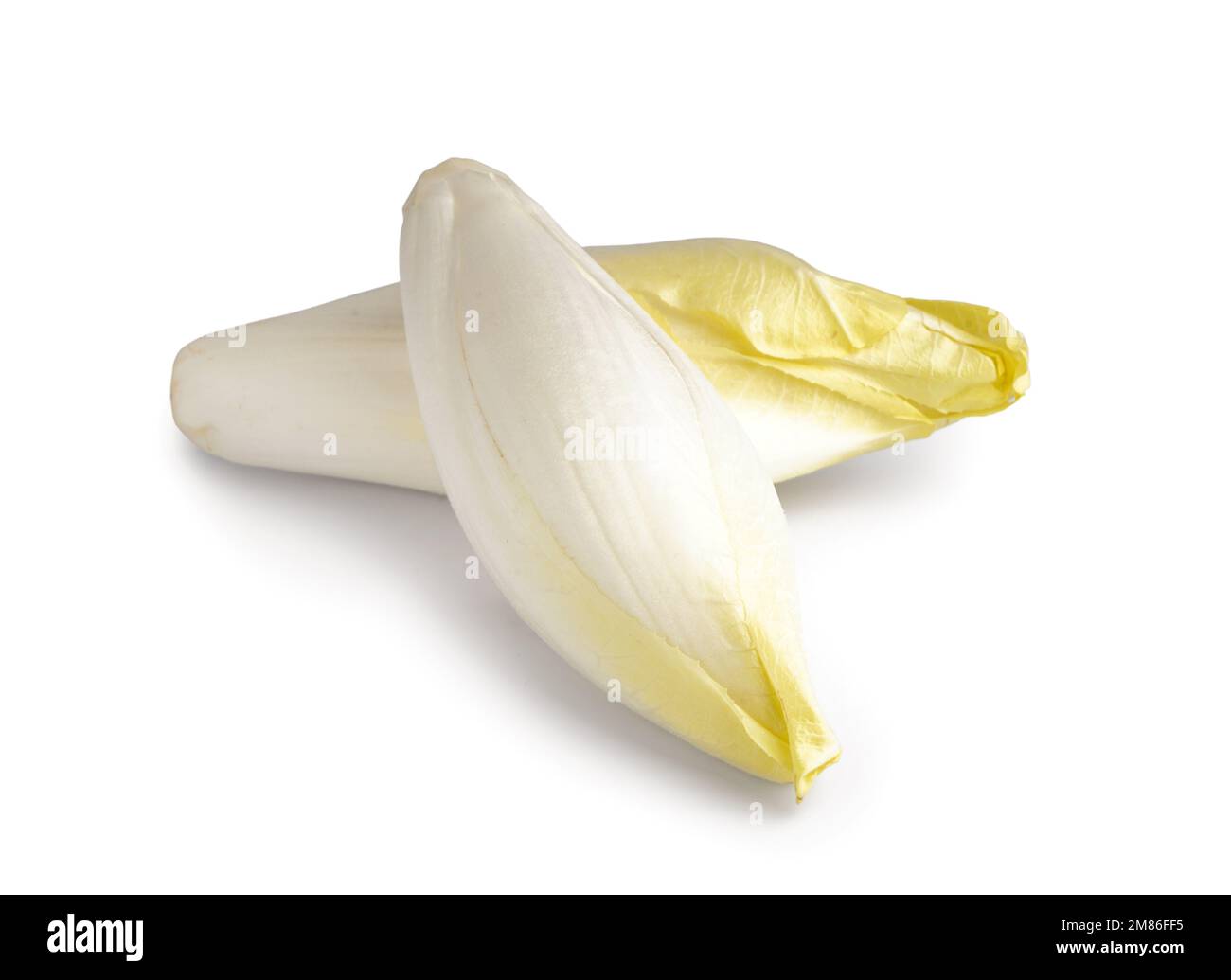 Bunches of fresh endive isolated on white background Stock Photo - Alamy