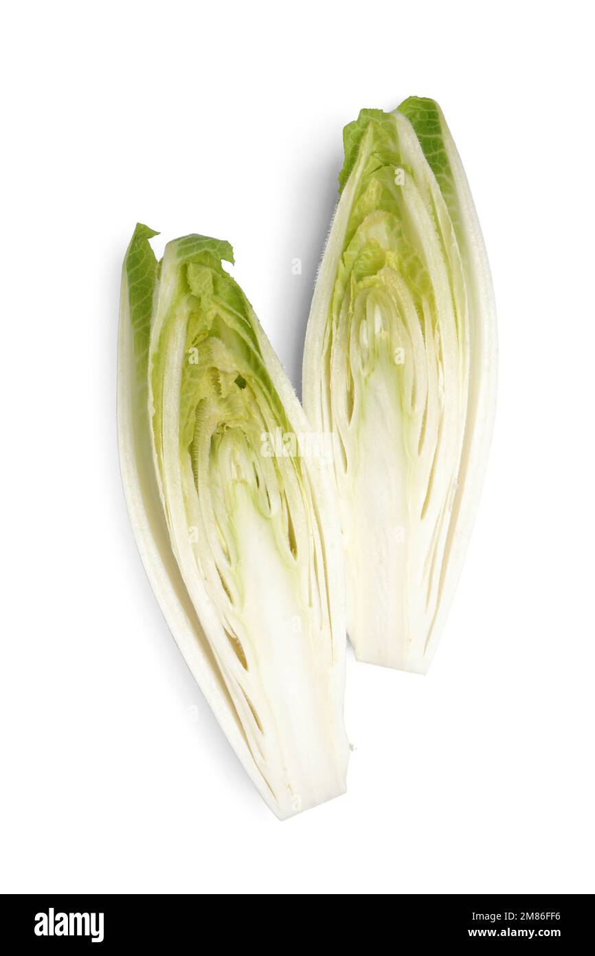 Halves of fresh endive isolated on white background Stock Photo - Alamy