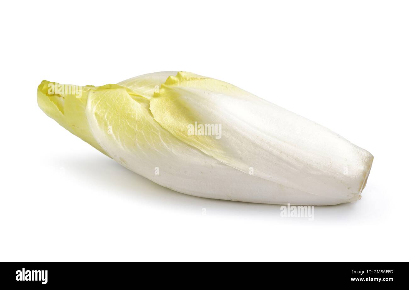 Bunch of fresh endive isolated on white background Stock Photo - Alamy