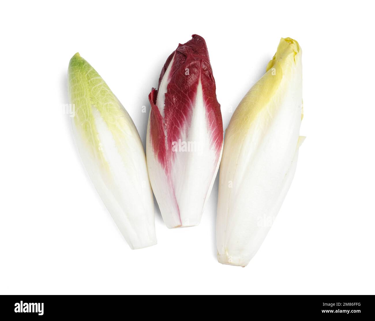 Bunches of fresh ripe endive on white background Stock Photo - Alamy