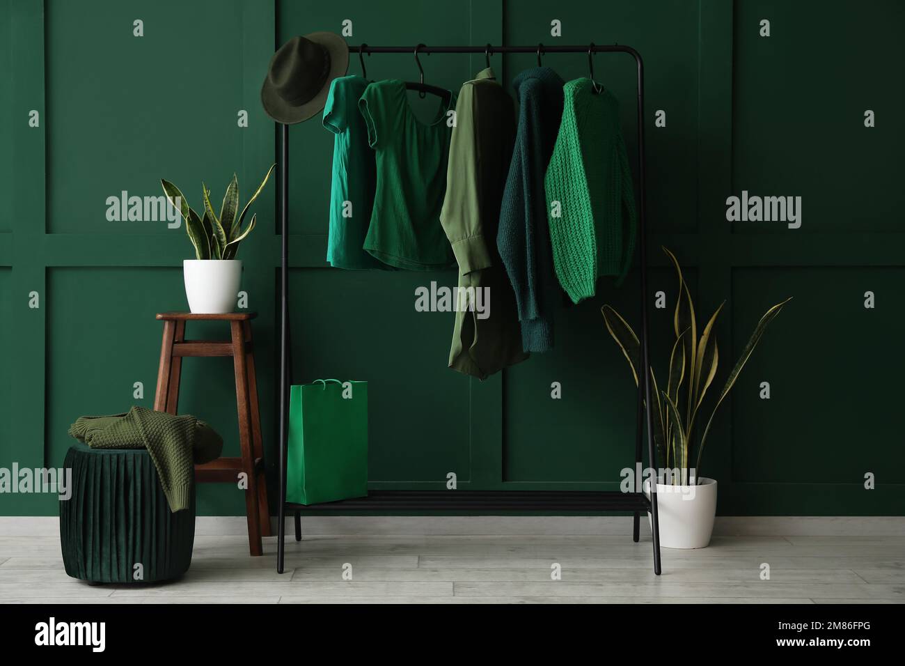 Interior of dressing room with stylish green clothes and houseplants ...