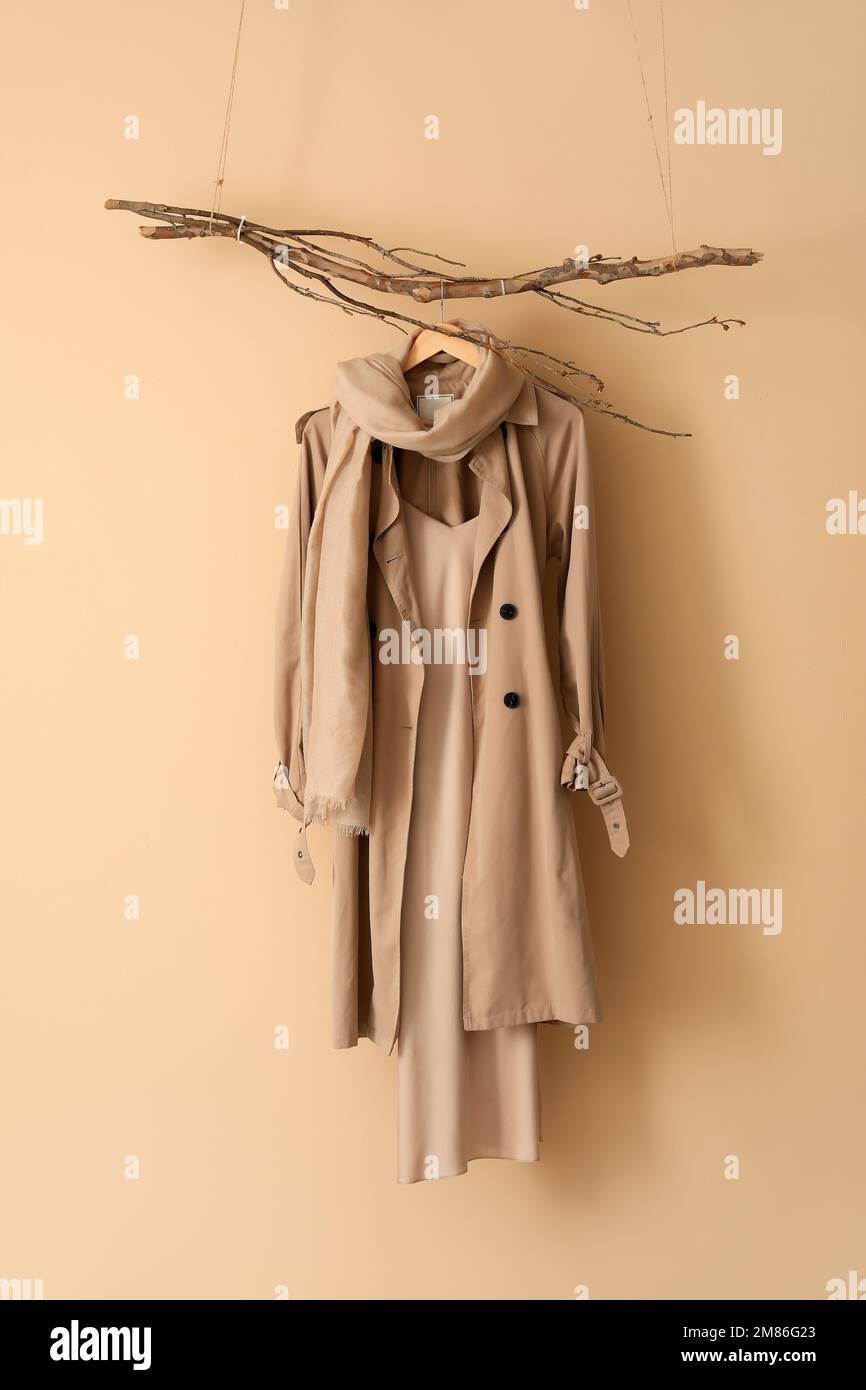 Tree branches with stylish clothes hanging on beige wall Stock Photo ...