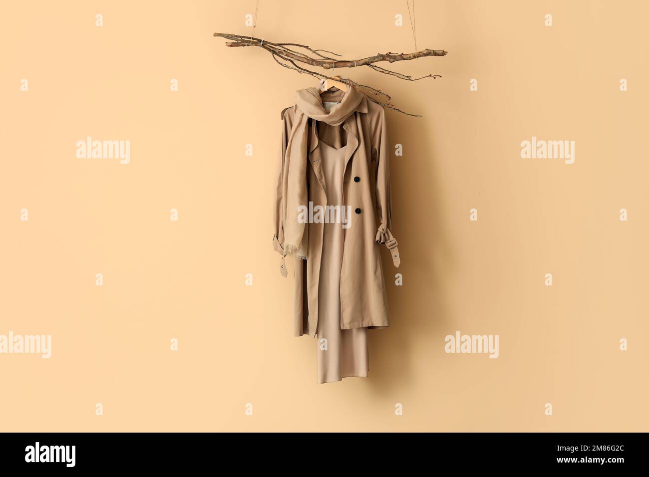 Tree branches with stylish clothes hanging on beige wall Stock Photo ...