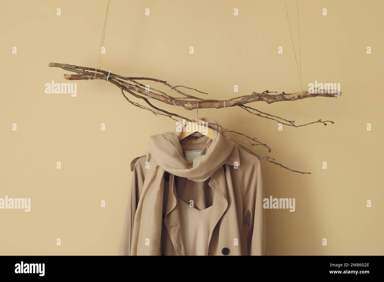 Tree branches with stylish clothes hanging on beige wall Stock Photo ...