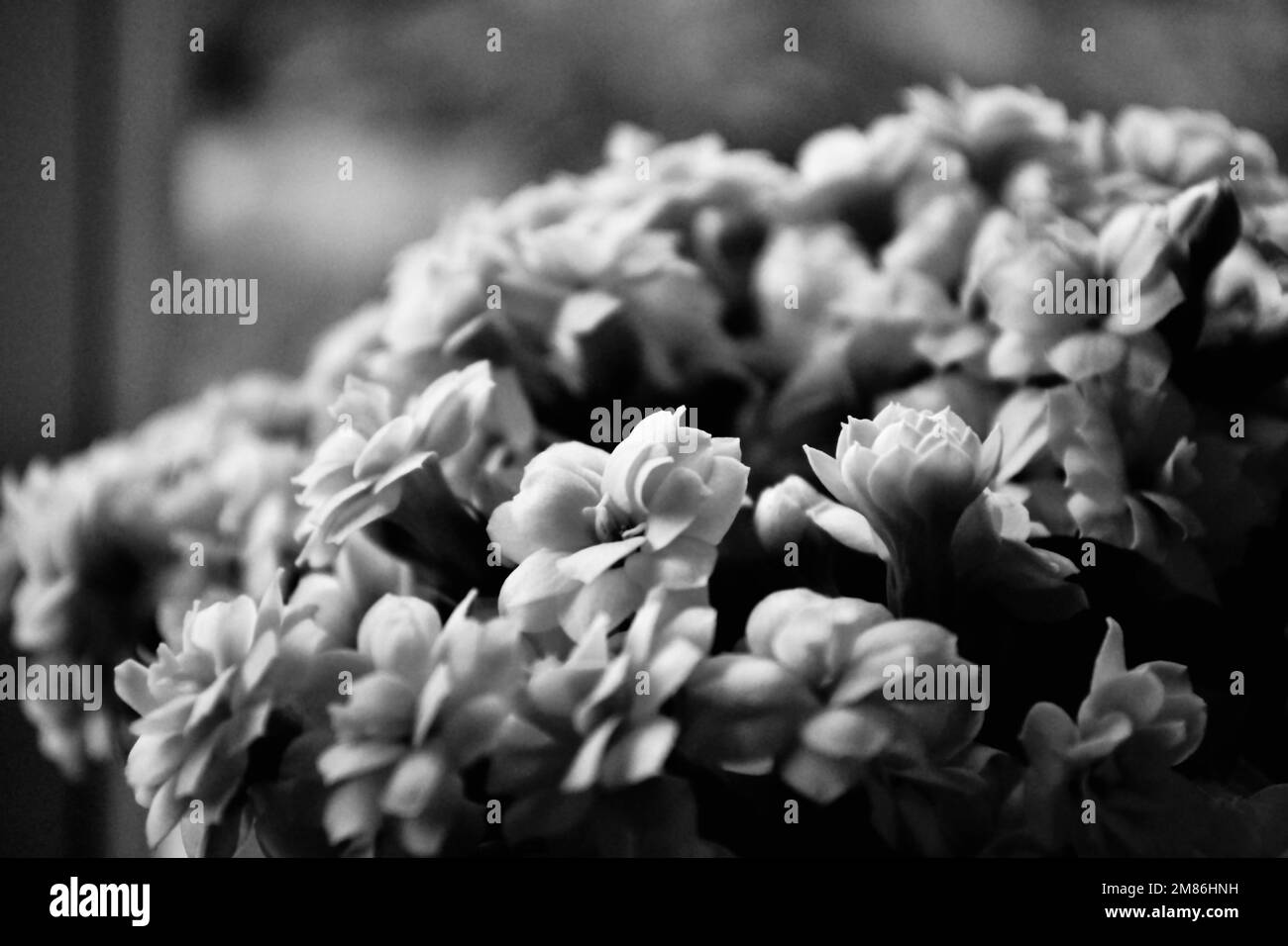 Grayscale Photography Tumblr