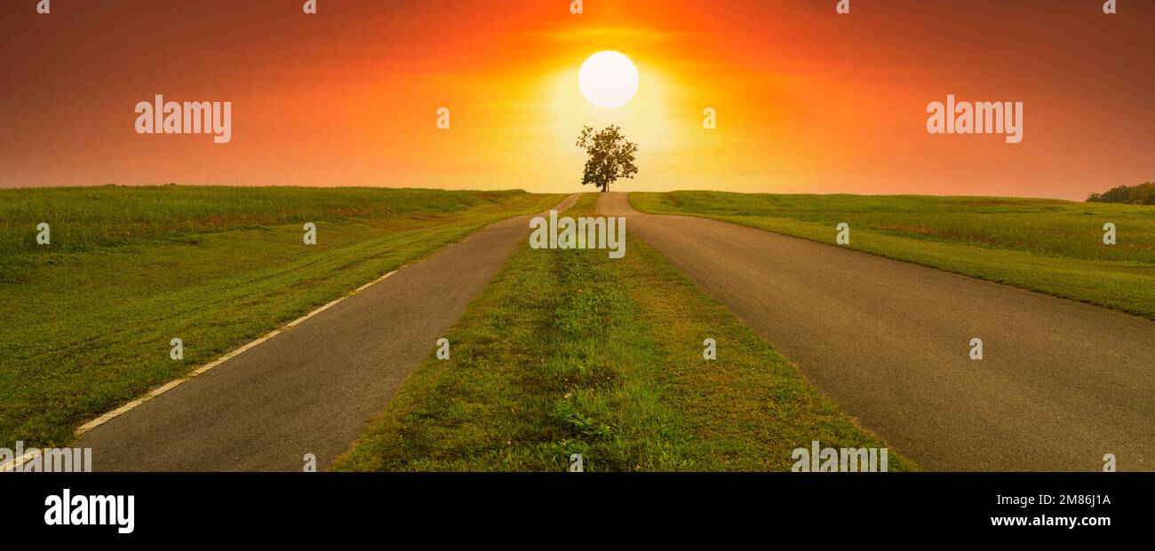 Two roads in the field at sunset. Divided country road. Beautiful ...