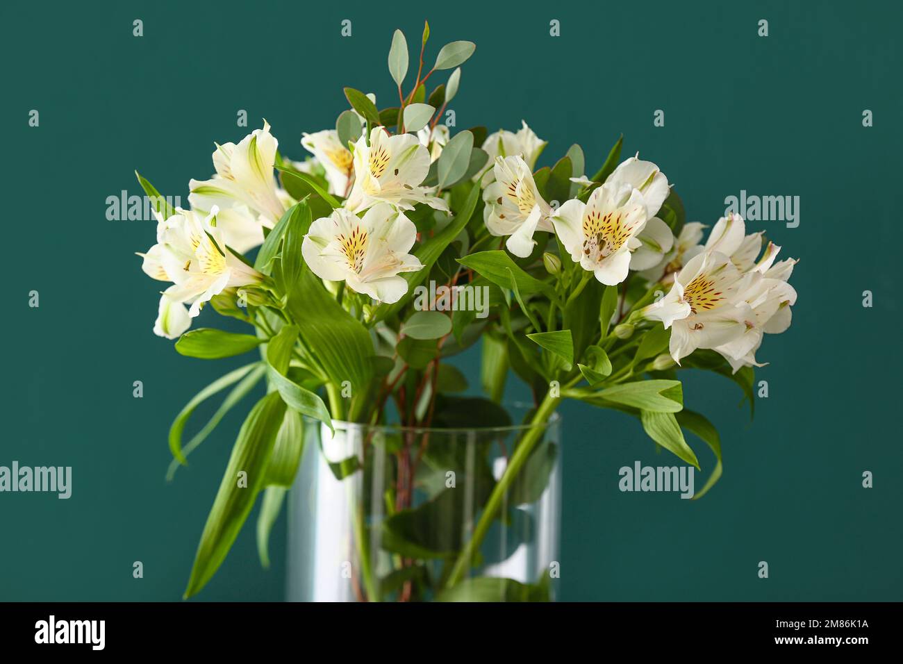 Vase with beautiful alstroemeria flowers and eucalyptus branches on ...