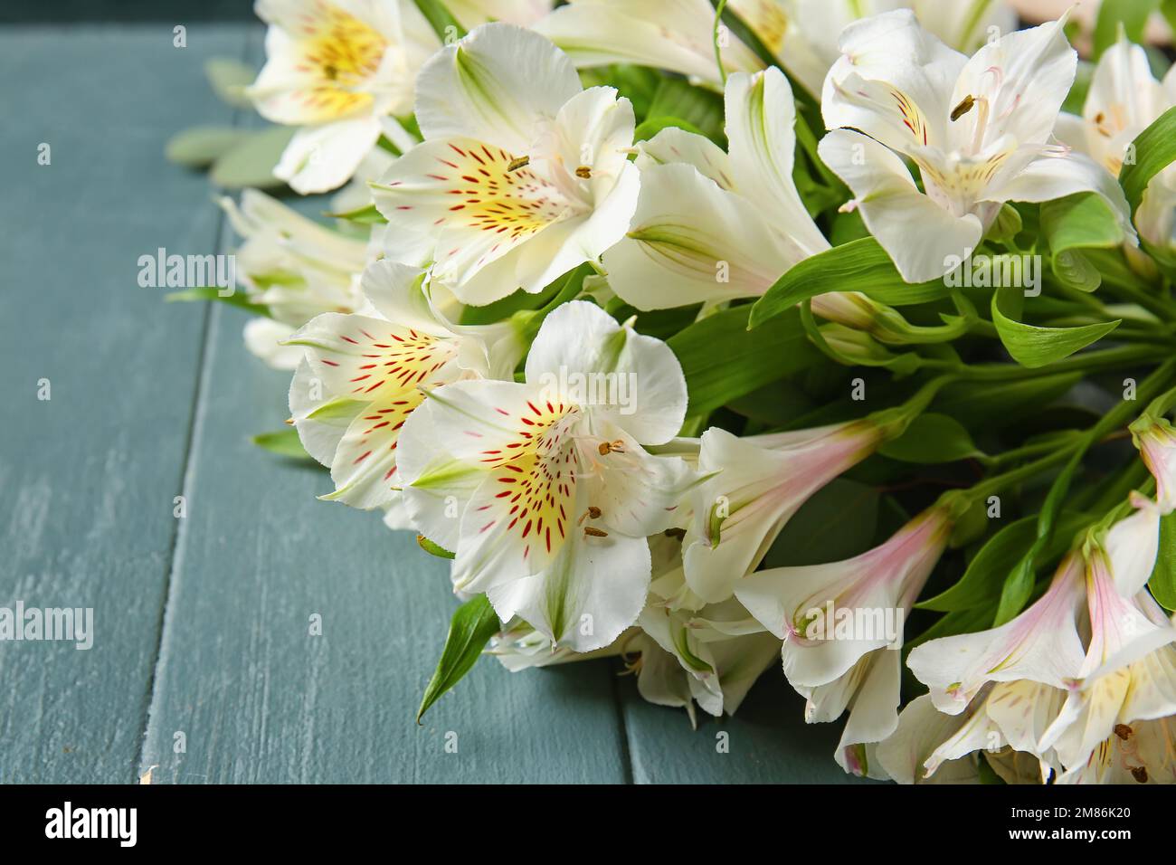 Bouquet of beautiful alstroemeria flowers on color wooden background ...