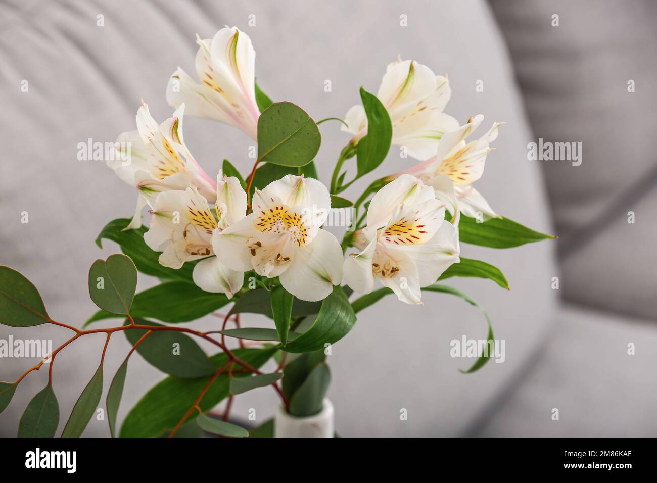 Bouquet of alstroemeria flowers, closeup Stock Photo - Alamy