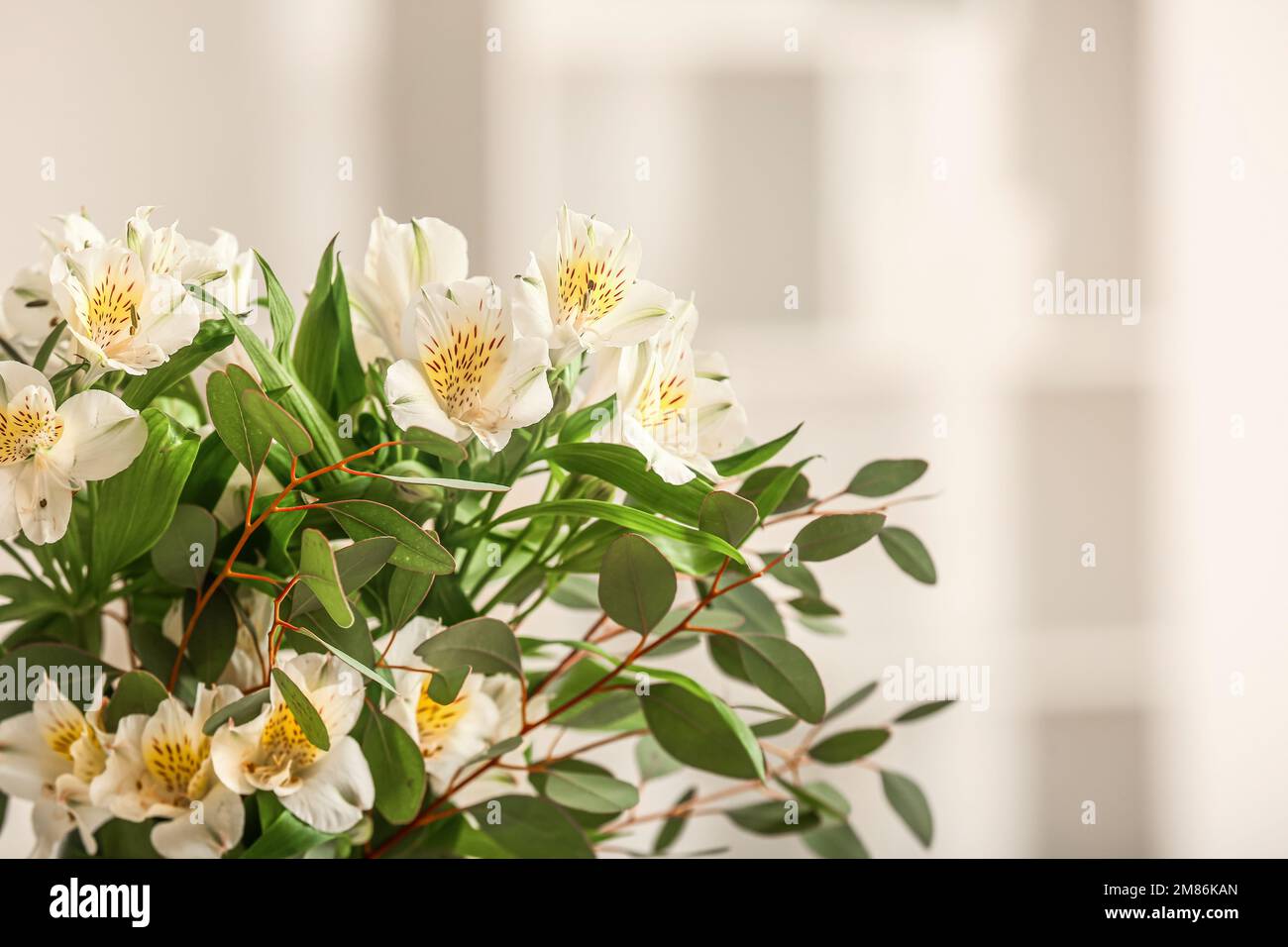 Bouquet of alstroemeria flowers, closeup Stock Photo - Alamy