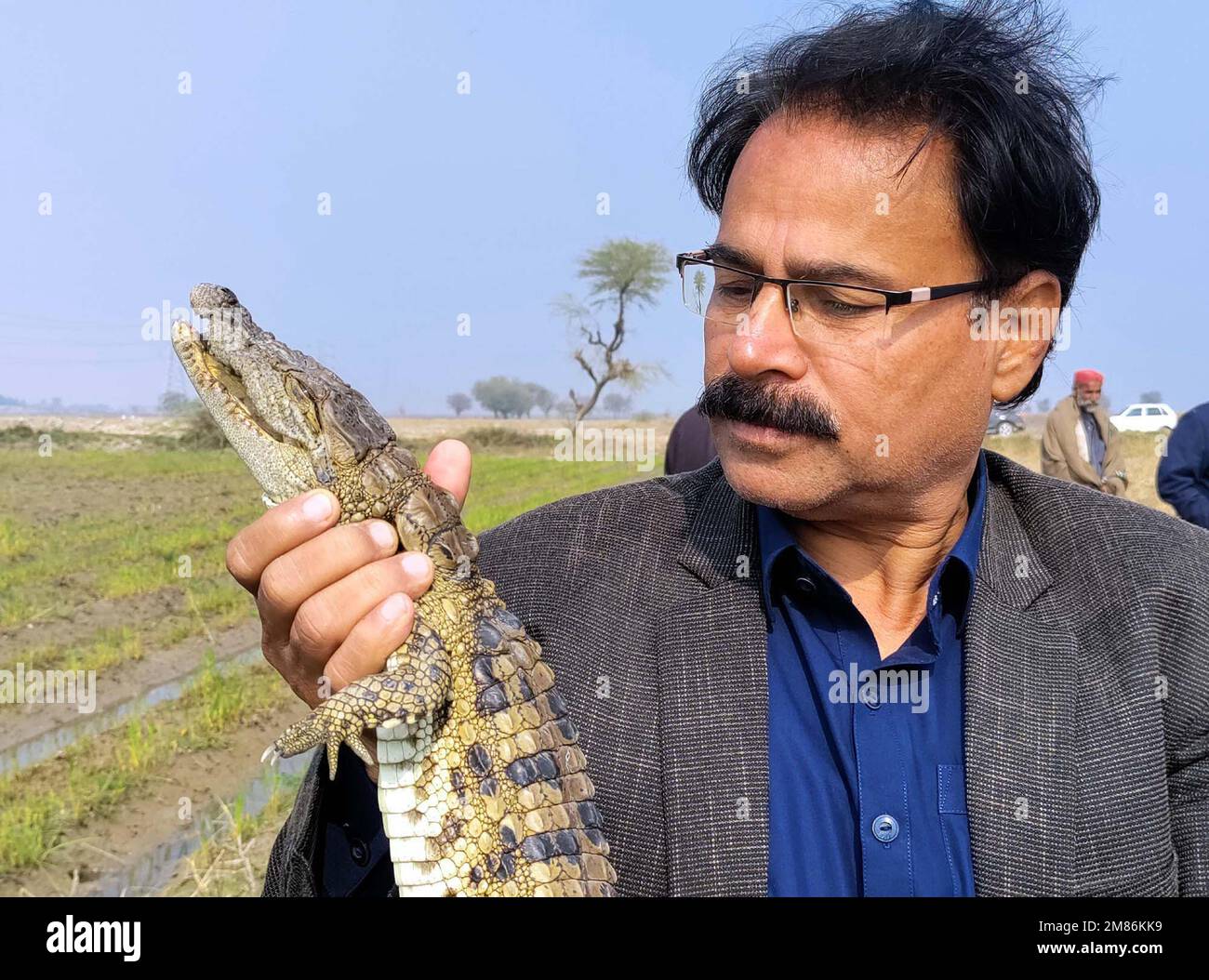 Hyderabad, Pakistan, January 12, 2023. View of a baby crocodile rescue ...