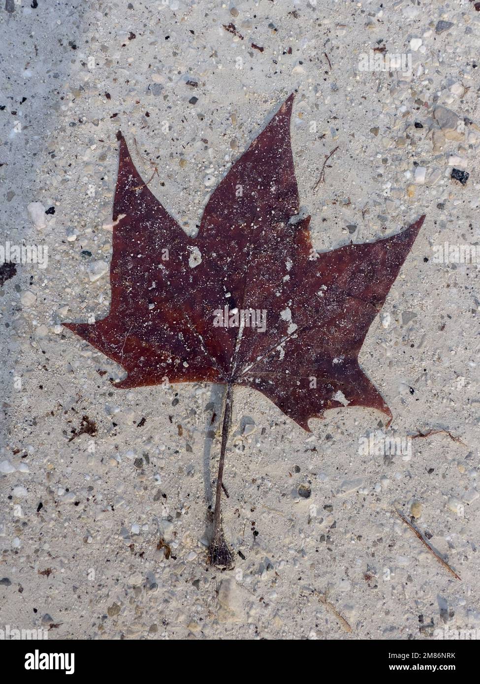 Fallen hi res hi-res stock photography and images - Alamy