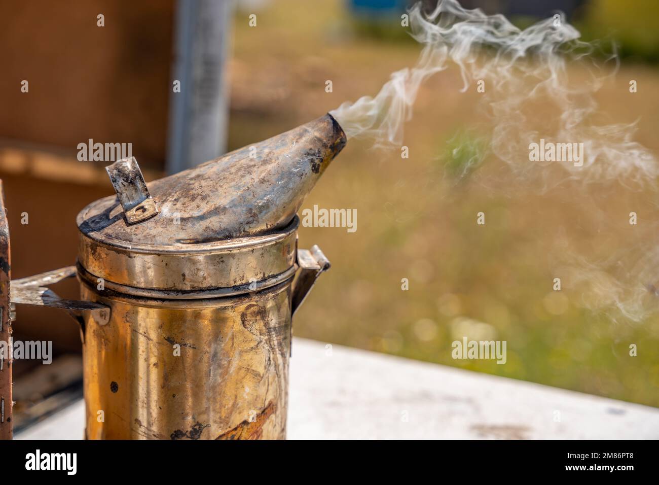 rustic smoker that is used in beekeeping to scare away the bees when ...