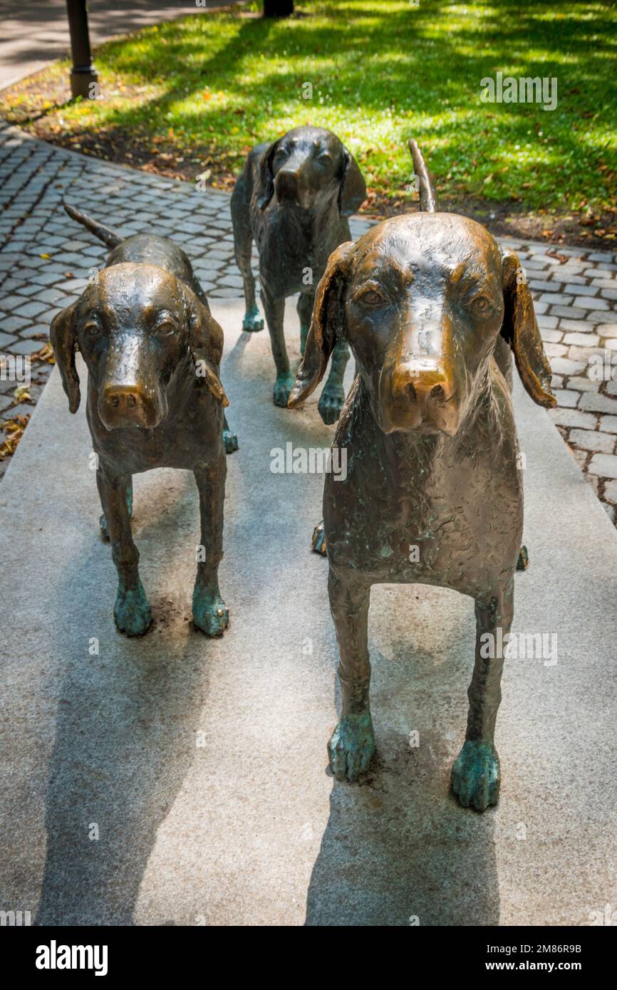 What Is The Temperament Of A Lithuanian Hound