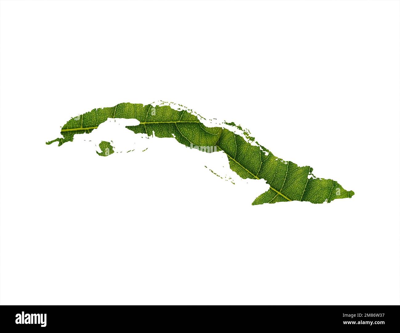 A 3D illustration of Cuba map made of green leaf on white background ...