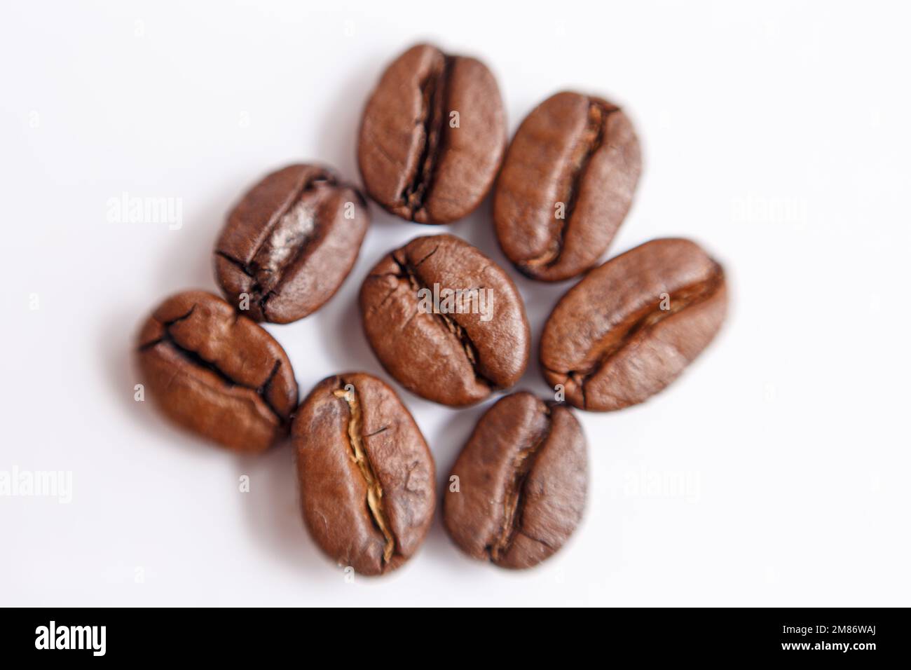 several grains of roasted coffee on a white background. macro ...