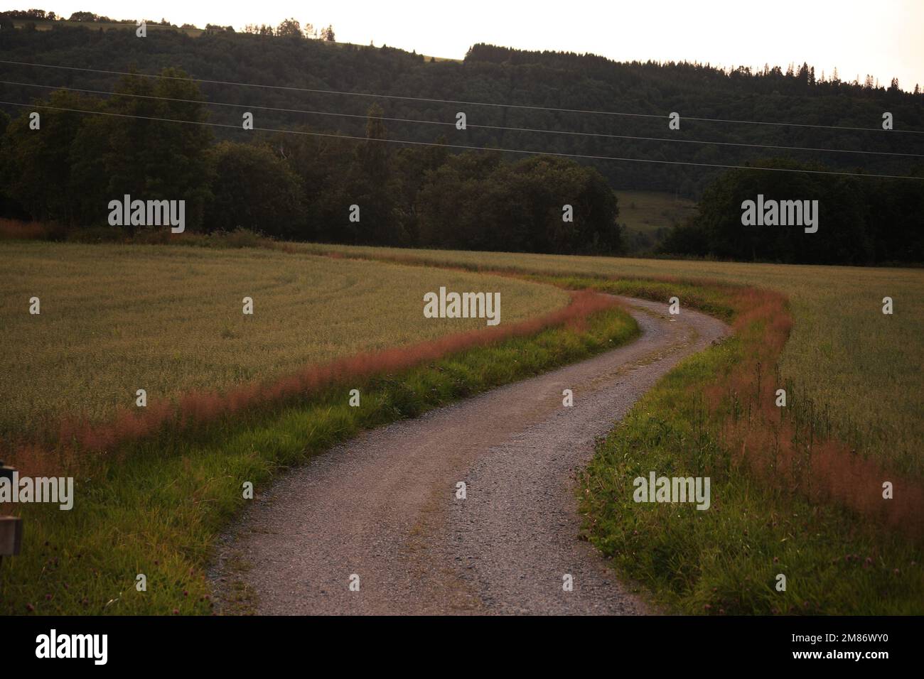 Fields on either side of an a road hi-res stock photography and images ...