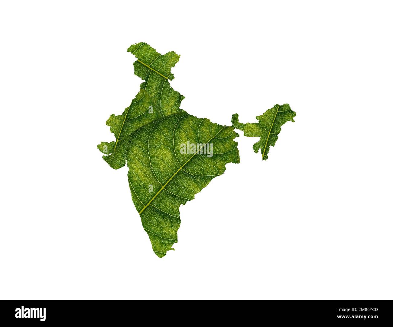 The India map made of a green leaf on a soil background. Ecology ...