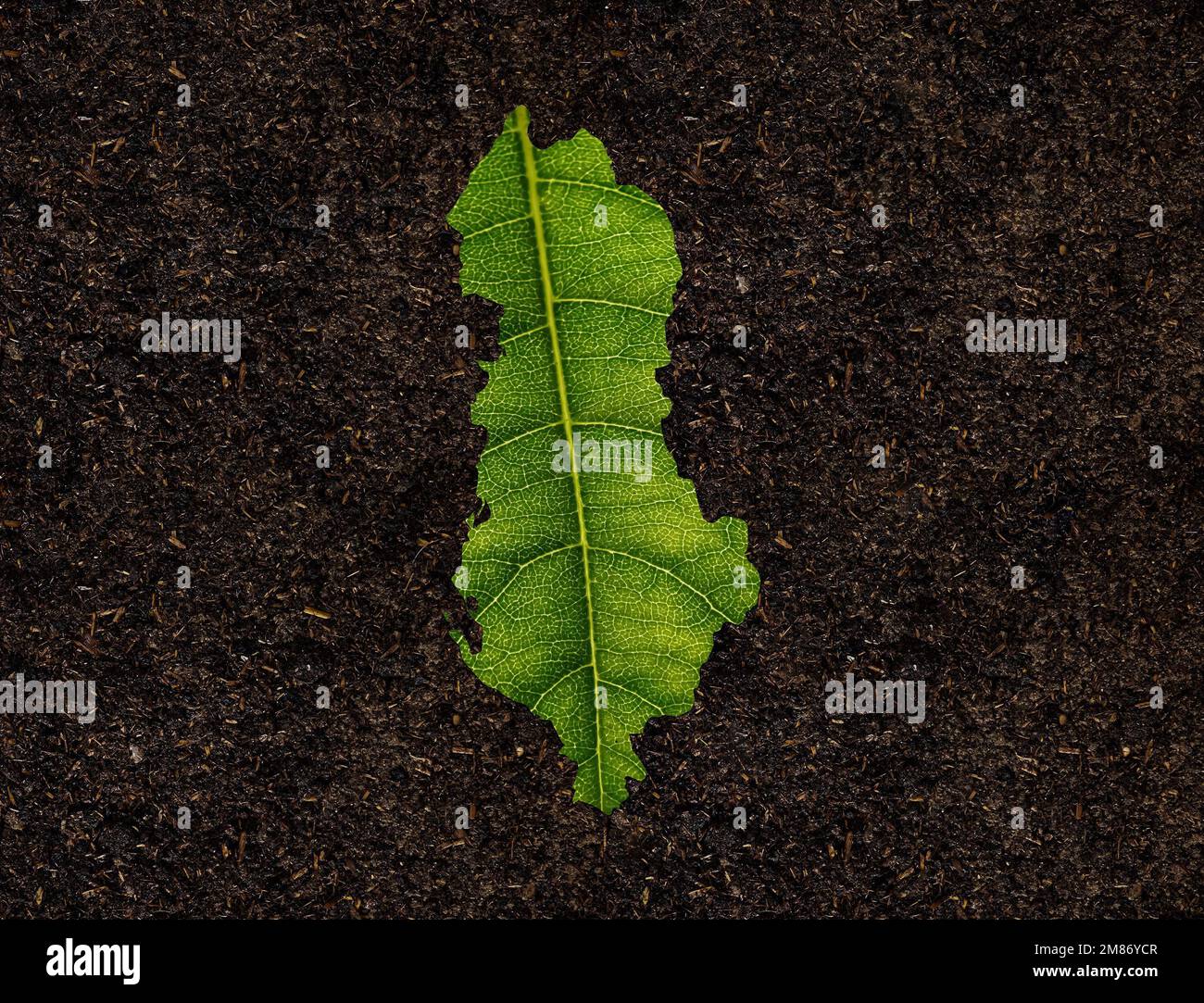 The Albania map made of a green leaf on a soil background. Ecology ...