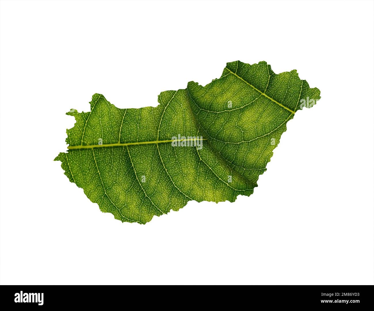 The Hungary map made of a green leaf on a soil background. Ecology ...