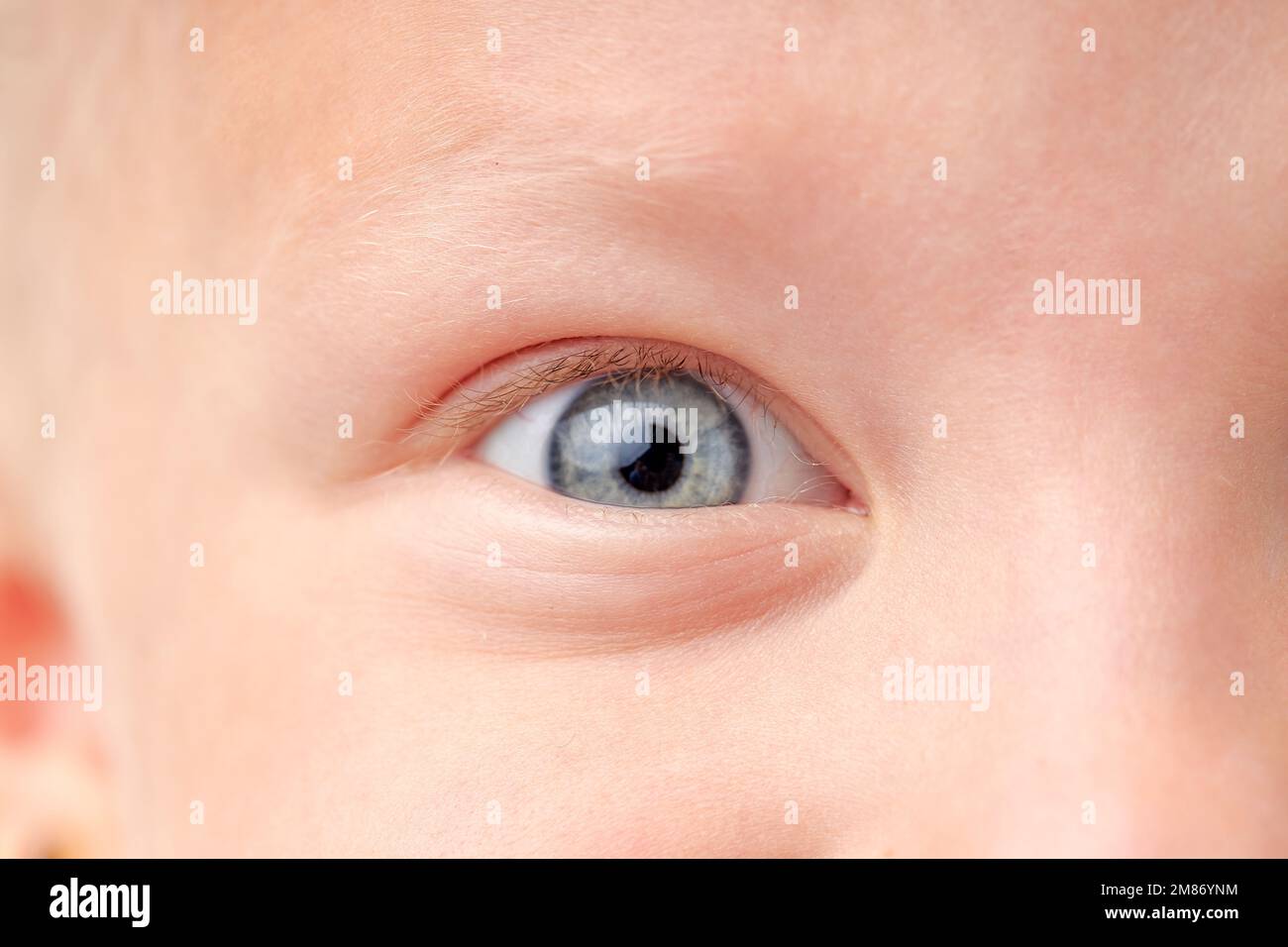 Closeup of beautiful girl eye. Beautiful blue eyes macro shot. image of ...