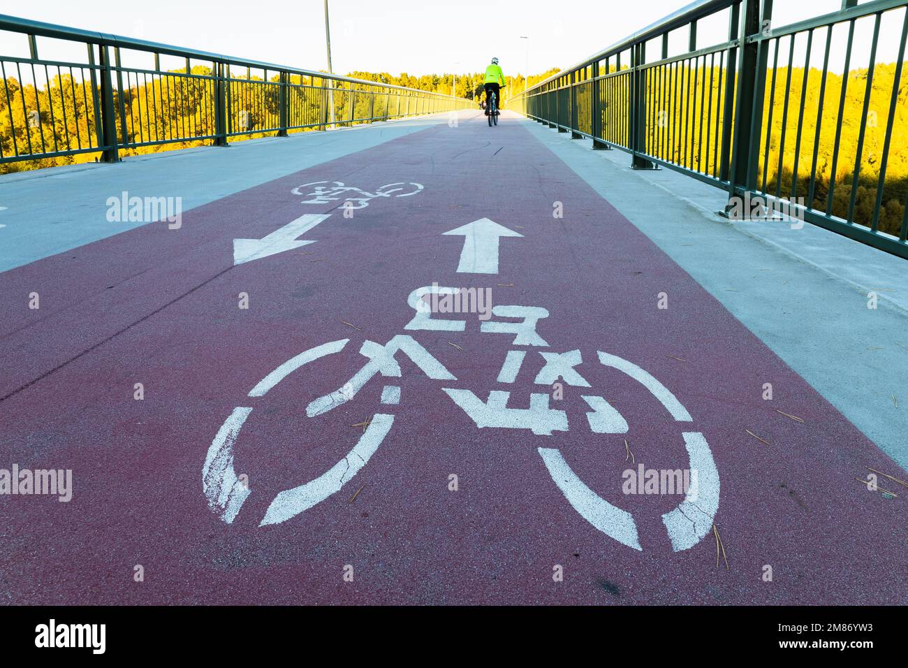 The bicycle lane symbol indicated the road for bicycles on the ...
