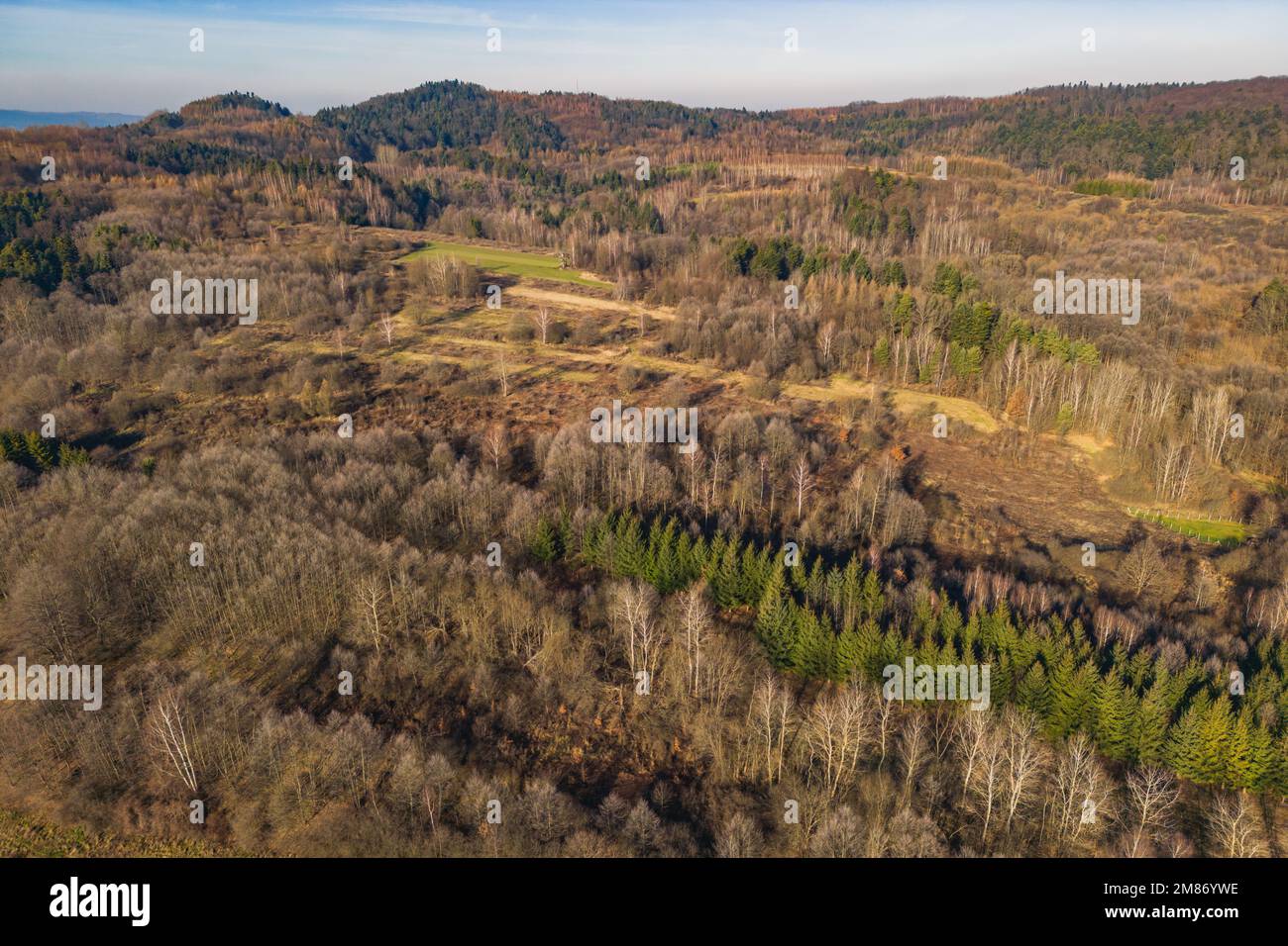 Aerial view of the forest in the morning with the rays of the sun ...