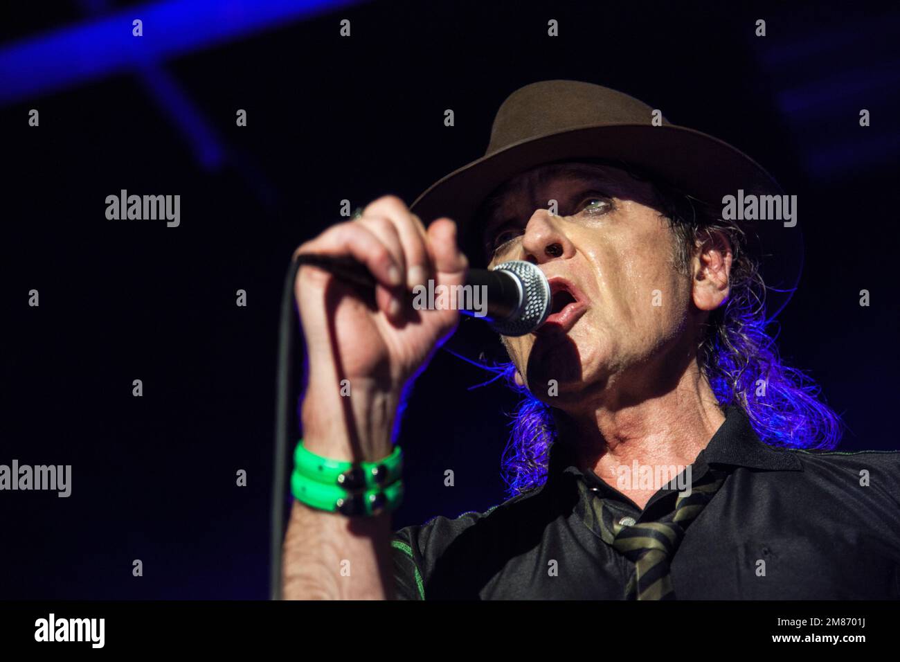 Udo Lindenberg is a German singer, drummer, and composer Stock Photo ...