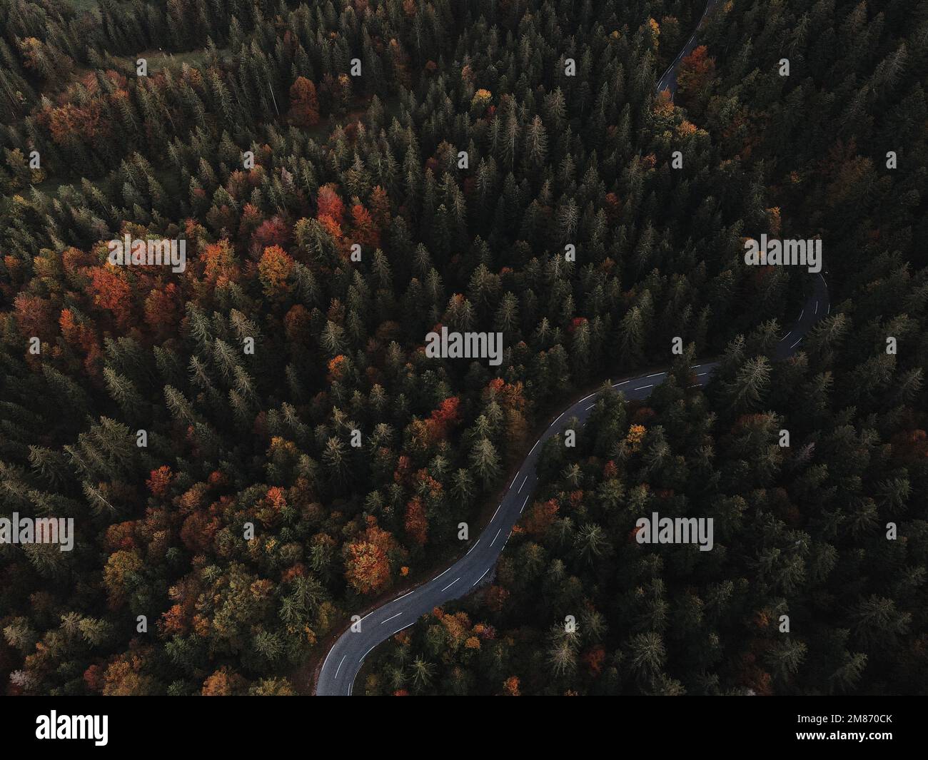 An aerial view of a road through forest Stock Photo - Alamy
