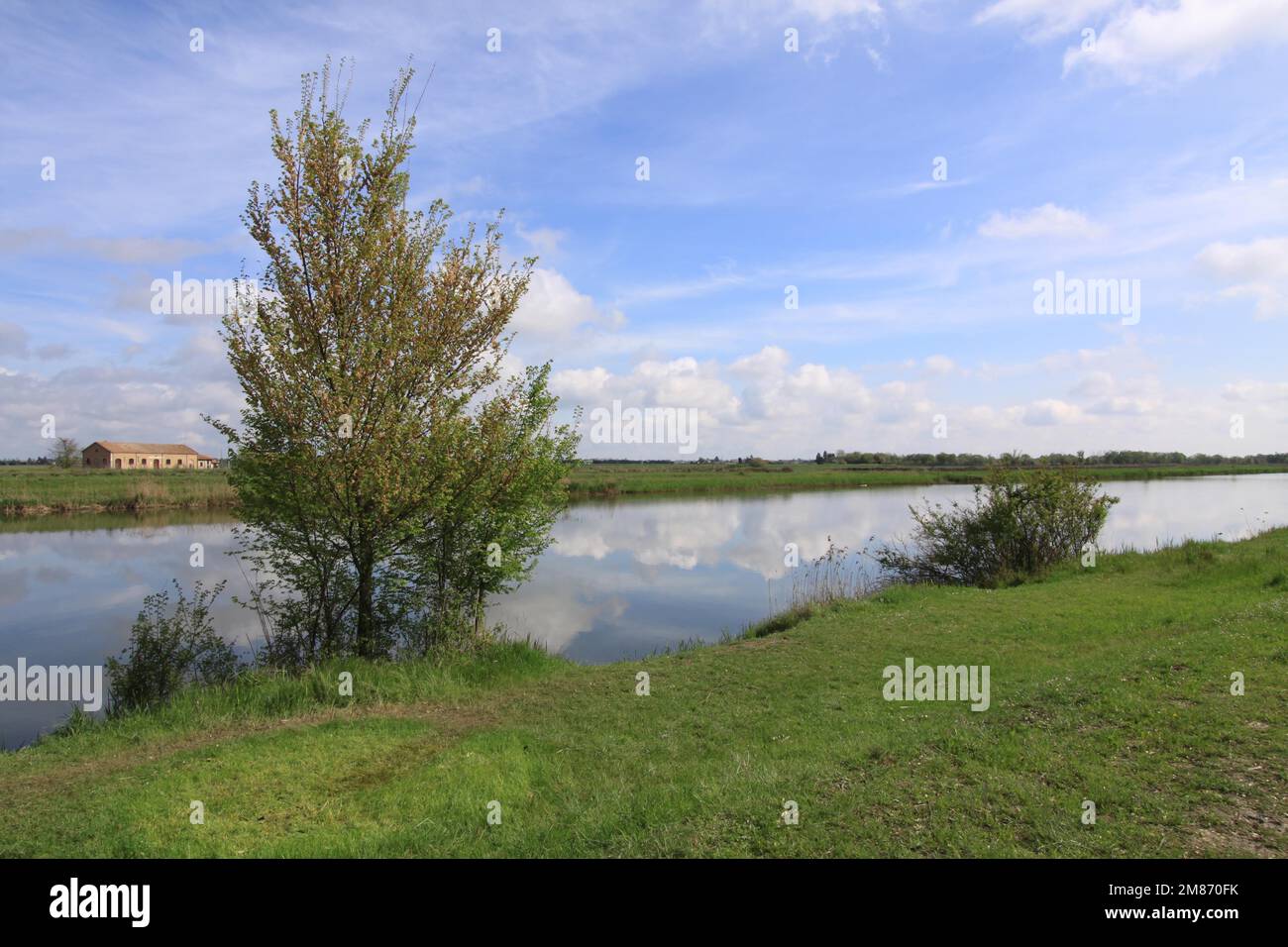 A gorgeous view of a sunny grass field and lush trees around a quiet ...