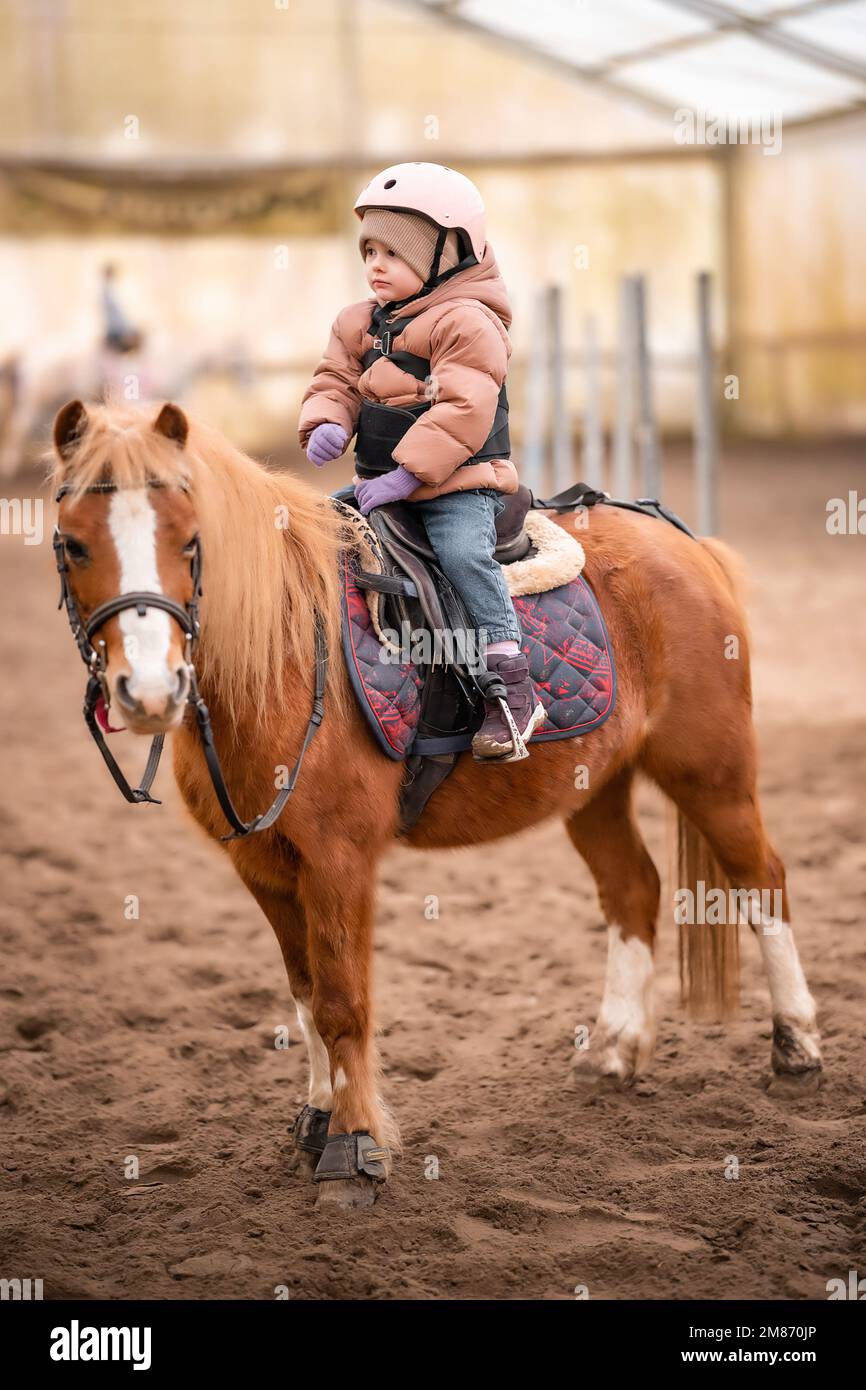 Little Child Riding Lesson. Three-year-old girl rides a pony and does ...